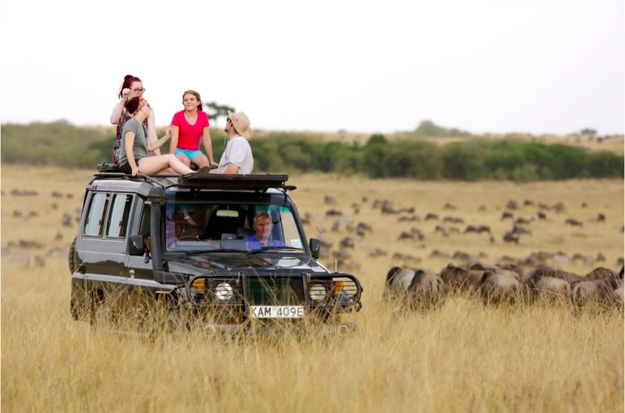 Kenya Group Joining Safaris | Budget & Mid-Range Lodge Tours